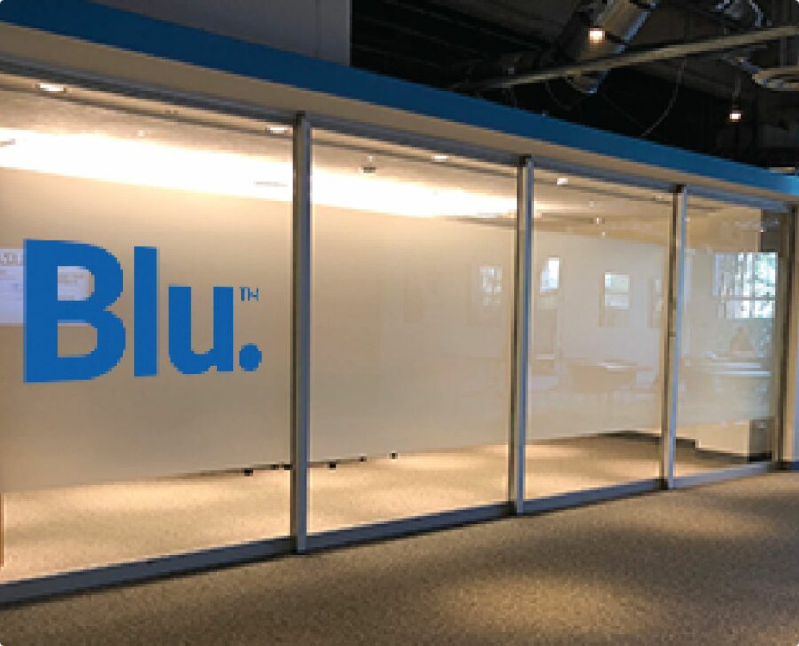About Us - Blu Digital Group