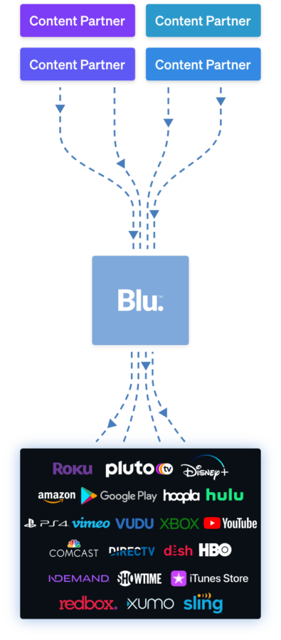 Services - Blu Digital Group