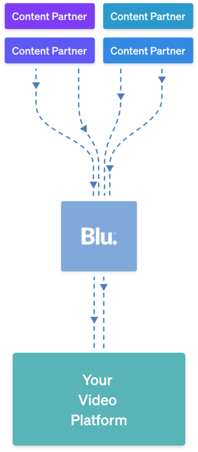 Software - Blu Digital Group